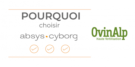 Sage 100 : Logiciel de gestion | Intégrateur Absys Cyborg